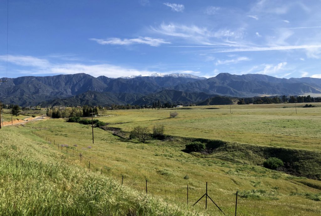 Banning Bench | The Harris Group real estate agents banning